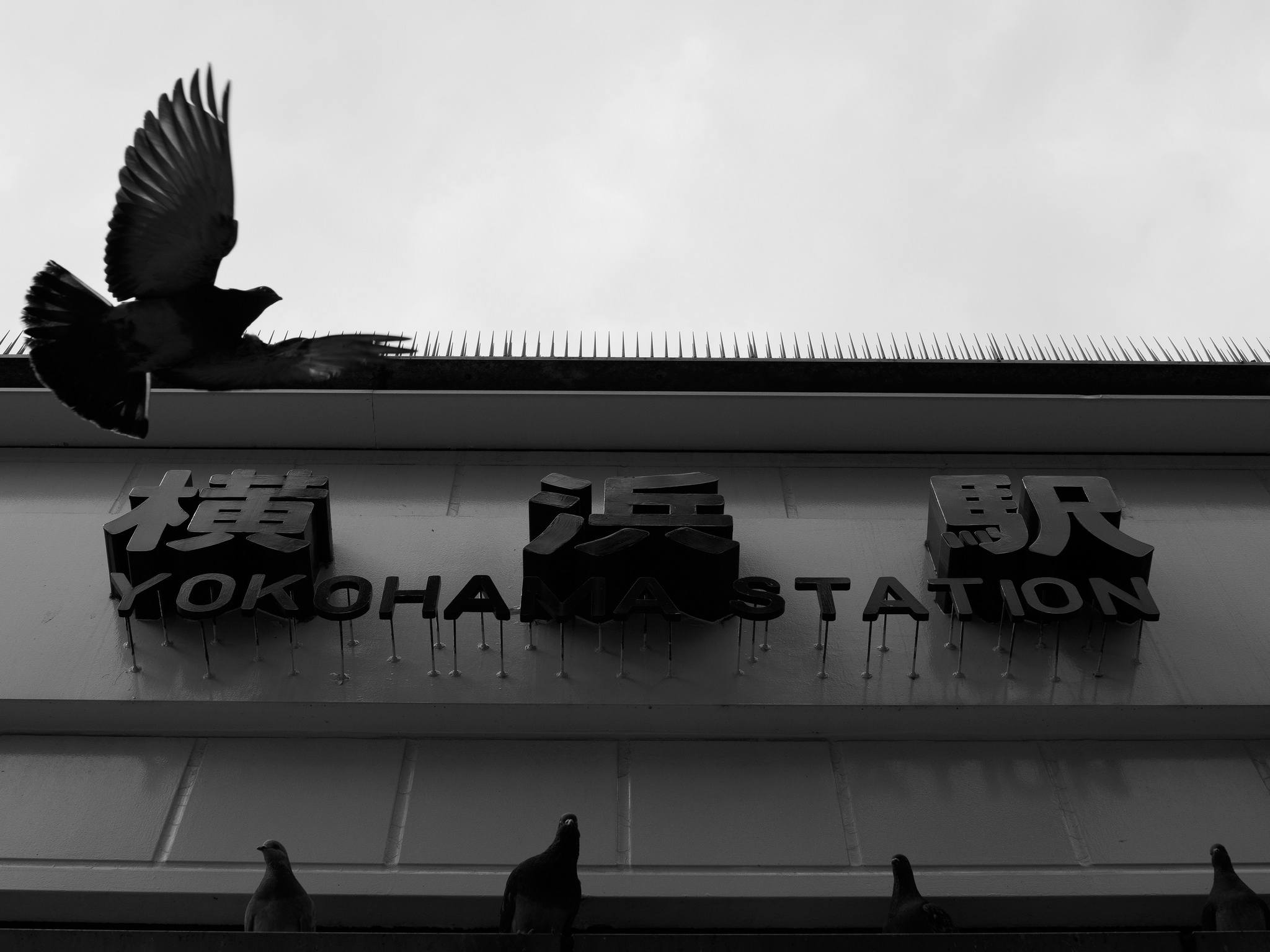 横浜鳩駅 – sgryjp.log.old