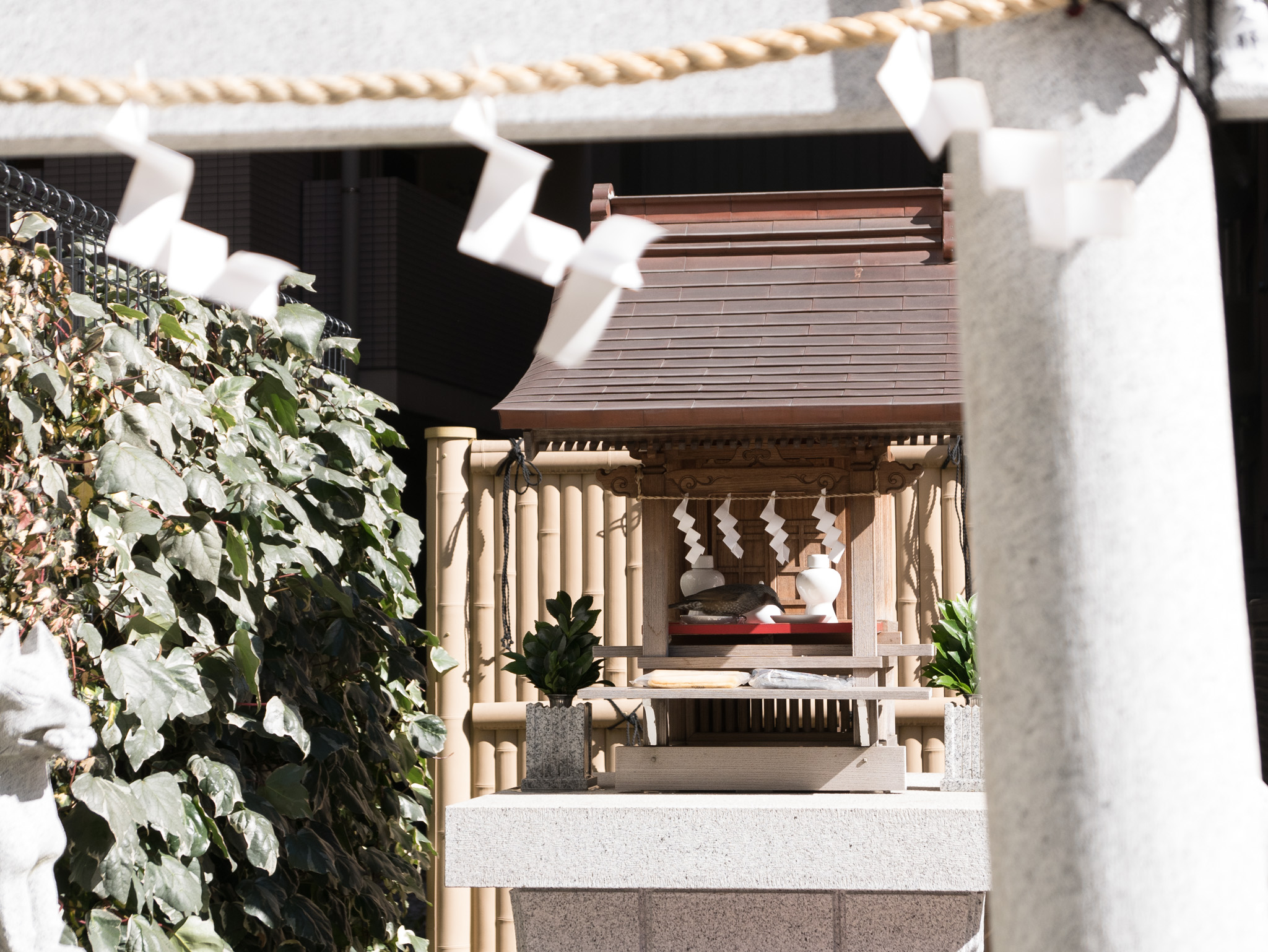 無知な非礼 – sgryjp.log.old